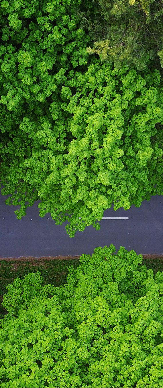 Our Impact - KPMG Philippines